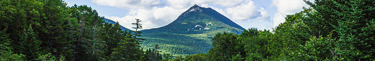 Nick Strout - Dennis Food Service