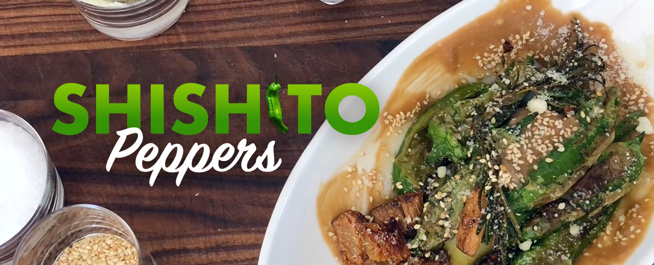 Shishito Peppers Appetizer Idea