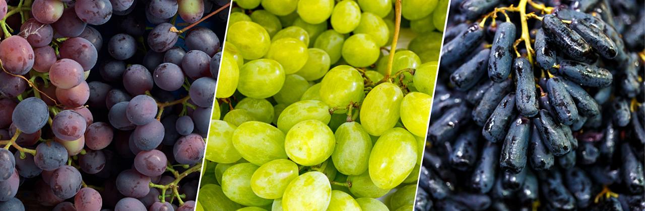 New Food Service Produce Items